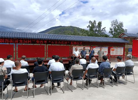 铜都街道龙洞村“三变”改革五大合作社揭牌，迈出乡村振兴新步伐集体经济的发展仪式