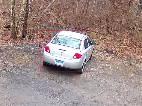 Help In How To Configure A Second Bounding Box Gie2 Deepstream Sdk Nvidia Developer Forums