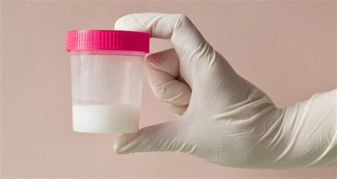 ¡Éstas Son Las Señales De Un Semen Sano La Mosca