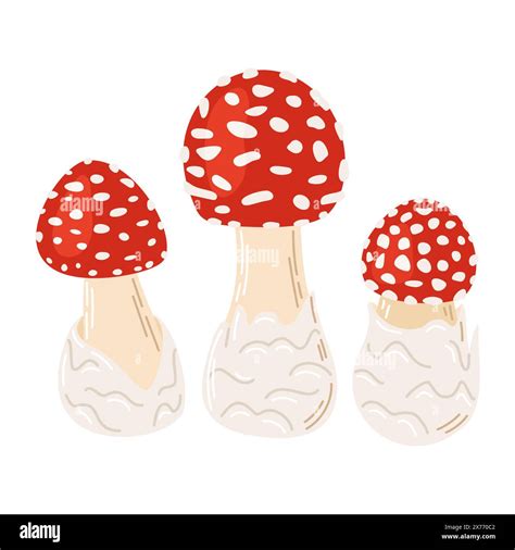 Fly Agaric Red Poison Mushrooms Hand Drawn Small Amanita Muscaria