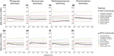 Spatial Phylogenetic And Phenotypic Patterns Reveal Ontogenetic Shifts