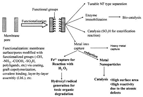 Overview On Membrane Functionalization And Processes Download Scientific Diagram