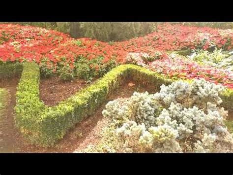 Armonía Vegetal en el Diseño de Jardines Actualizado junio