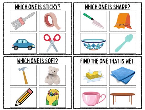 Printable Feature Function Class Task Cards Wh Question Flashcards Essential Learning Aids