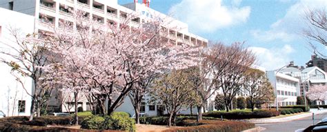 文化科学研究科｜総合研究大学院大学