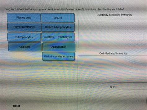 Solved Drag Each Label Into The Appropriate Position To I Chegg
