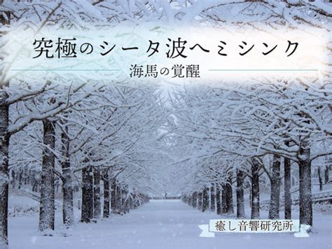 究極のシータ波ヘミシンク 海馬の覚醒 癒し音響研究所 Dlsite 同人