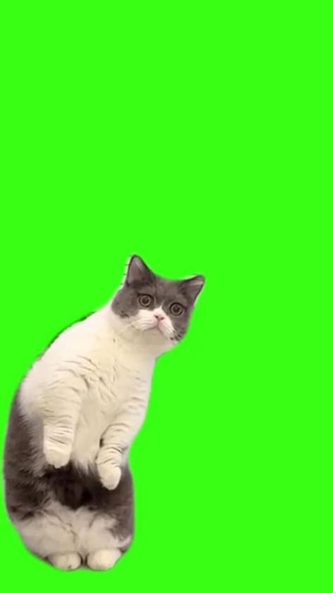 жми «перейти чтобы скачать шаблон мема в тг канале No Reels Pls En 2024 Chat