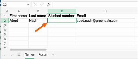 name data sheet