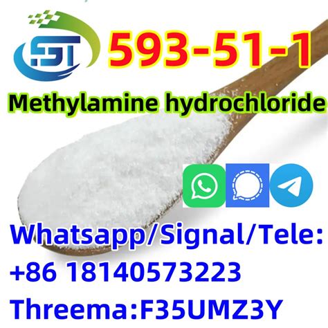 CAS 593 51 1 Methylamine Hydrochloride LT S9151 Good Price With High Q