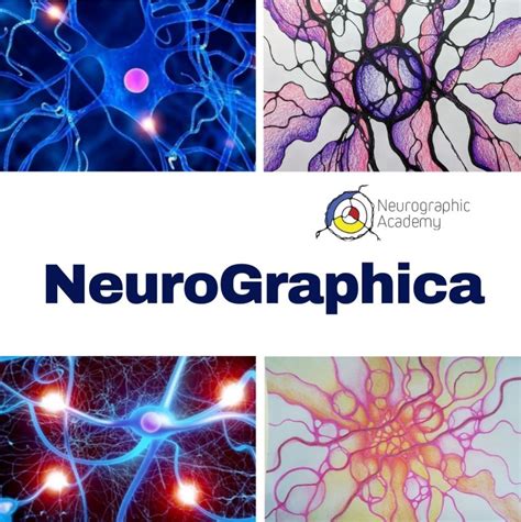 The 8 Algorithms Of Neurographica Bundle