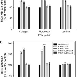 Adhesion Of A MDAMB231 And B HT29 Cells To Collagen Type I