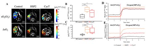 Lung Cancer Therapy Liu Li Lab Ut Southwestern Dallas Texas