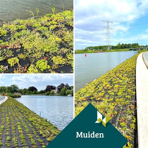 Elon Blaakman Fijen Posted On Linkedin