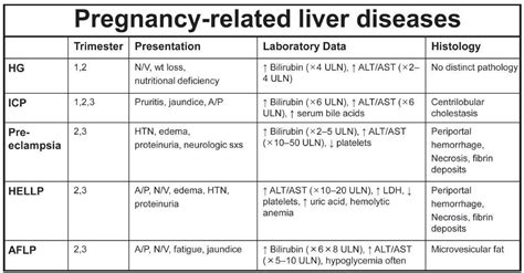 Liver Enzymes Elevated During Pregnancy At Lindy Rossi Blog