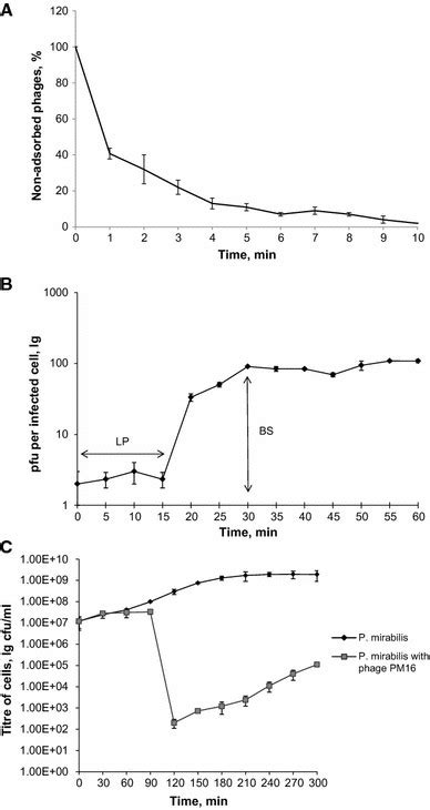 Biological Properties Of Bacteriophage Pm16 A Adsorption Curve Of