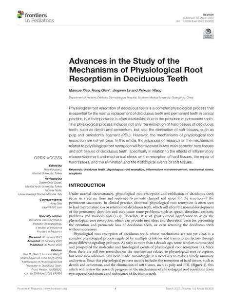 PDF Advances In The Study Of The Mechanisms Of Physiological Root Resorption In Deciduous Teeth