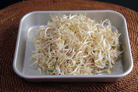 숙주 요리 숙주 돼지고기 찜