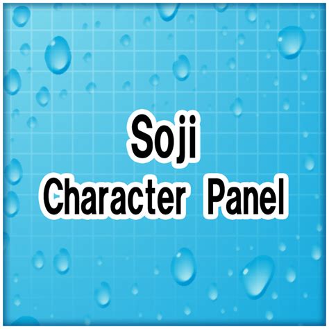 Senran Kagura Peach Beach Splash Soji Character Panel Box Covers
