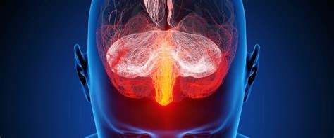 Materialism And Physicalism Exploring The Philosophical Concepts