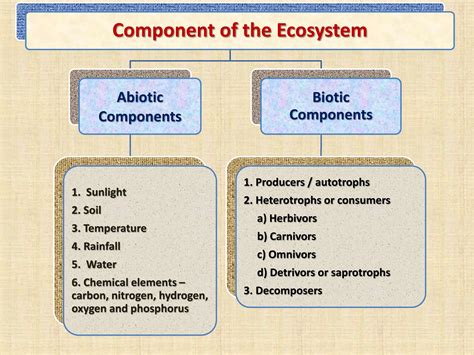 Ecosystem Composition Structure And Functions Of Ecosystems Pptx