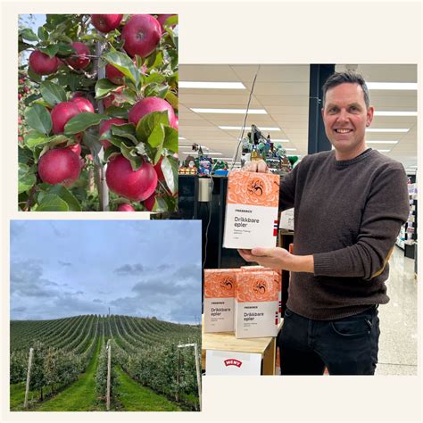 Drikkbare Epler Eplemost De Tre Brødrene Freberg