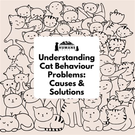 Understanding Cat Behaviour Problems Causes And Solutions Revelstoke
