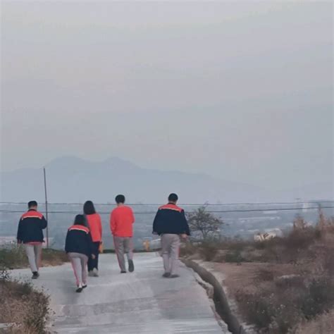 2708株古树名木“老有所依”，阳江守护“绿色遗产”之道保护生态公园