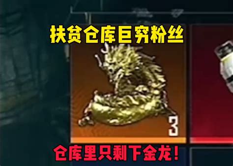 扶贫仓库巨穷粉丝，仓库里面穷的只剩金龙！ 和平精英地铁逃生 是帅宇 是帅宇 哔哩哔哩视频