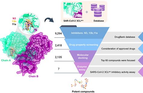 The Virtual Screening Scheme Of Molecular Docking Of Sar Cov 2 3cl Pro Download Scientific