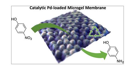 Pd Nanoparticle Loaded Smart Microgel Based Membranes As Reusable