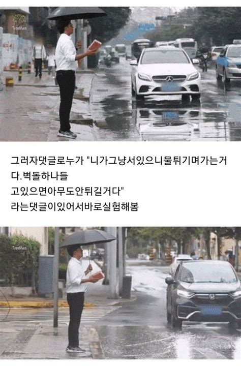 물 웅덩이 사회 실험 웃긴 밈 재미있는 유머 웃긴 유머