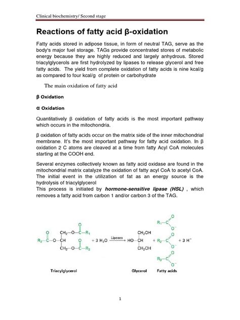 Fatty Acids Oxidation Pdf Adenosine Triphosphate Fatty Acid