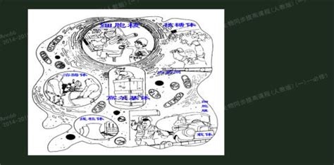 植物细胞骨架手绘图植物细胞骨架植物细胞手绘图大山谷图库