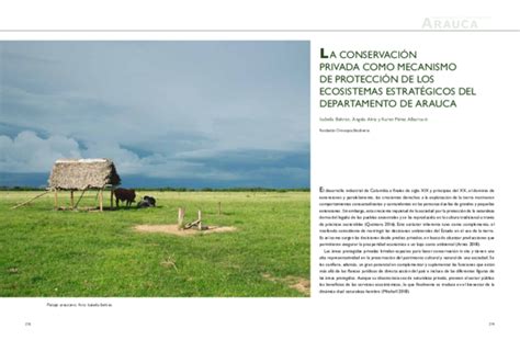 Pdf La Conservación Privada Como Mecanismo De Protección De Los Ecosistemas Estratégicos Del
