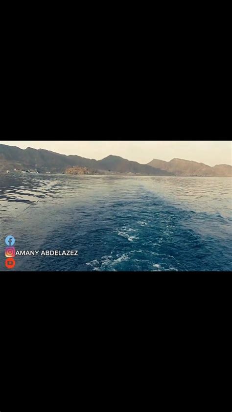 Amany Abdelazez ‎مصر الاسكندرية المعمورة Egypt Alex Elmamora