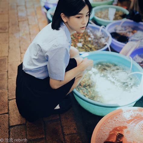 北海黄昏樱落云川 站酷zcool