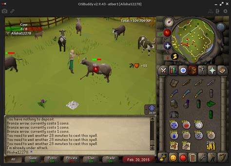 Wizzy Hat Gs F2p Range 2h Pure Guide R 2007scape