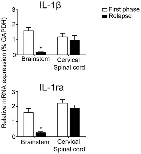 Semi Quantitative Rt Pcr Analysis Of Il 1b And Il 1ra Mrna Q Pcr Of