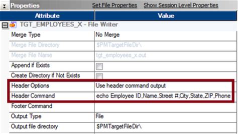 Customize Your Target Flat File Column Headings Using Informatica