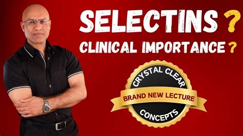 Selectins Adhesion Molecules Clinical Correlates Youtube