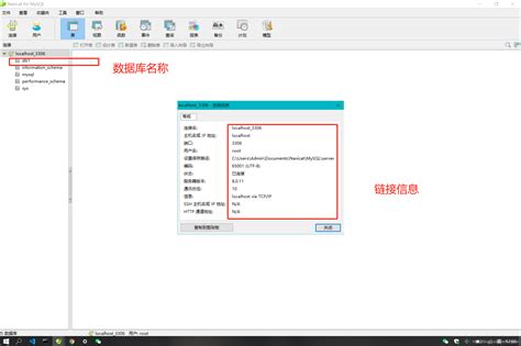 Expressmysql实现后端数据库操作express Mysql Csdn博客