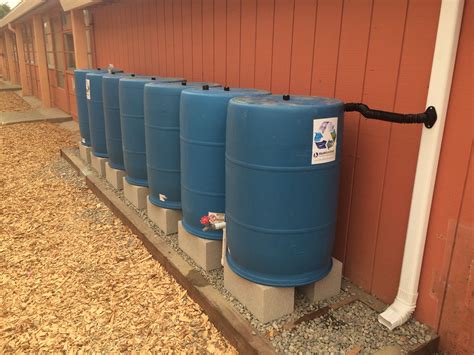 Diy Rainwater Catchment With Recycled Barrels Rain Water Collection