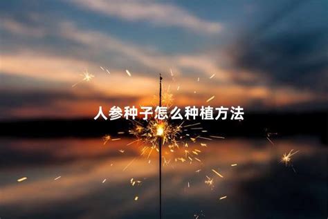 人参种子怎么种植方法 新农科技