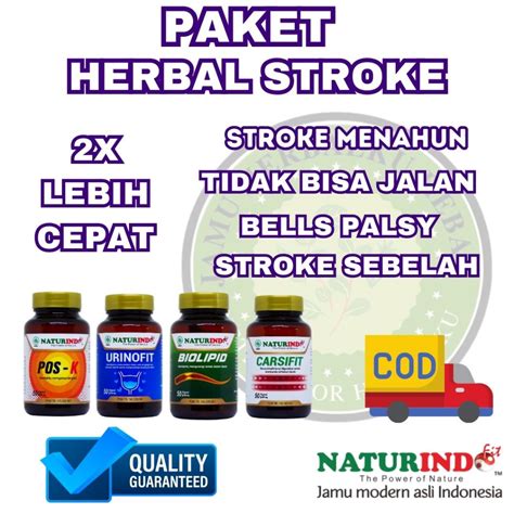 Jual PAKET STROKE AMPUH OBAT STROKE RINGAN STROKE MENAHUN LUMPUH BELLS