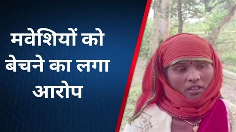 कौशाम्बी महिला ने पड़ोसी गांव के एक युवक पर मवेशियों को बेचने का लगाया