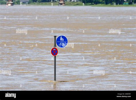 A Traffic Sign No Stopping And Pedestrian And Cycle Path In The Middle Of The Flooding Rhine In