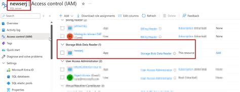 Azure Using Dynamic Identity Block As Output For Rbac Assignment