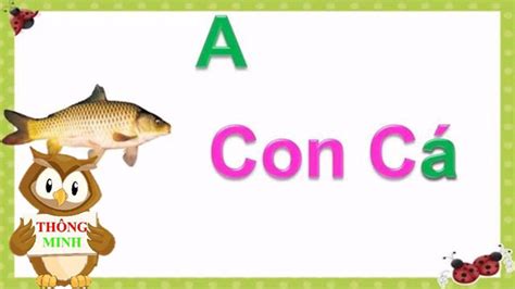 Các cách dạy trẻ lớp 1 đánh vần dễ hiểu nhất bố mẹ không nên bỏ qua Cosy