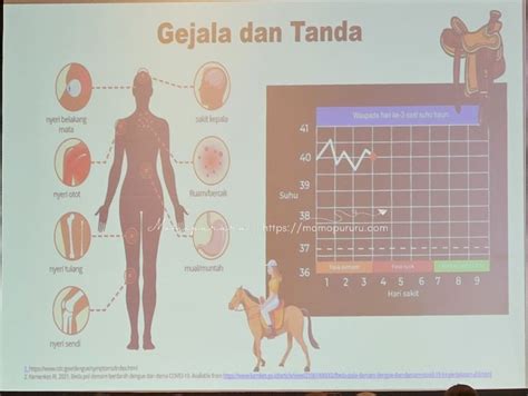 Pentingnya M Plus Vaksin Dalam Mencegah DBD